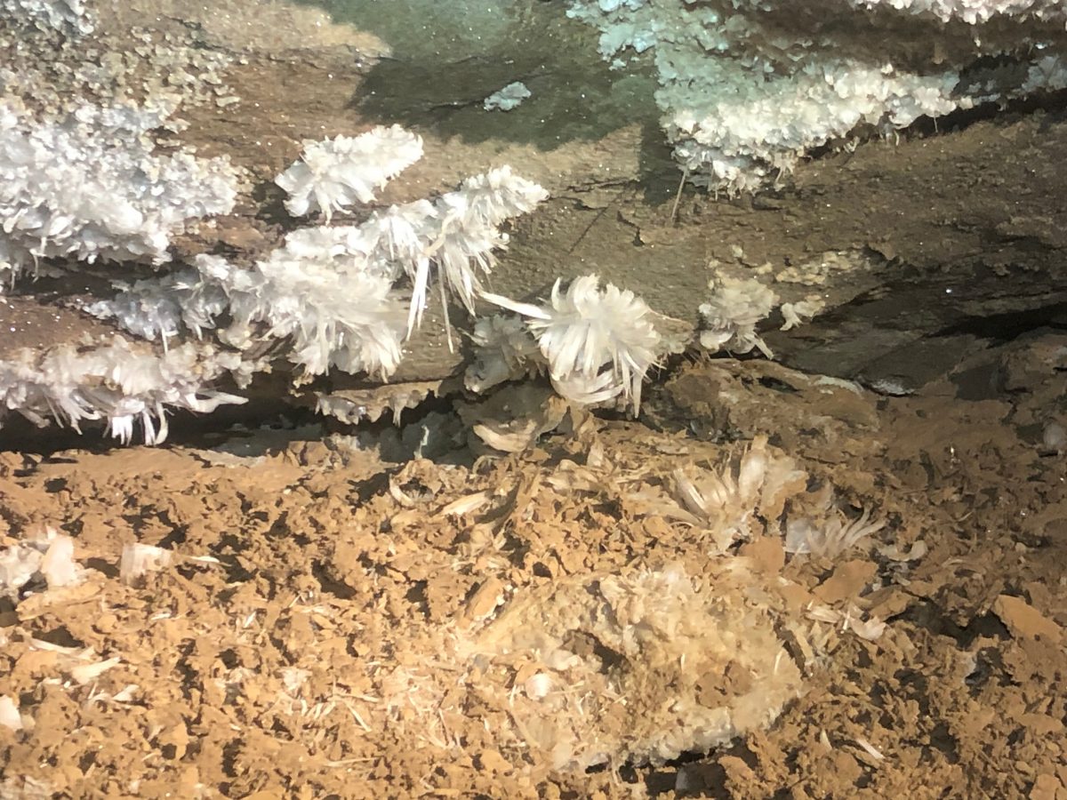Blue Spring Cave - Outside By Nature Trip Reports